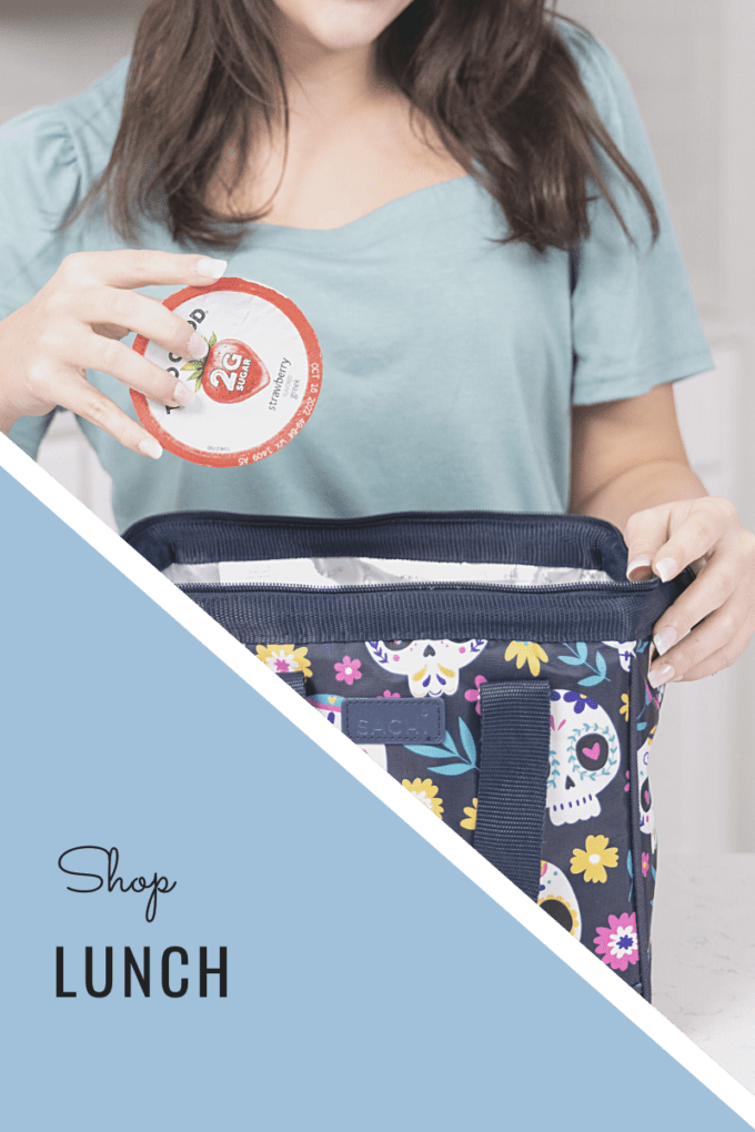 Sachi-Bags | Shop Insulated Bags, Totes, Lunch Boxes & More!